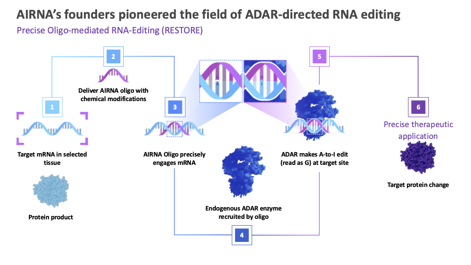 News: AIRNA: Harnessing the Body’s RNA-Editing System for Therapeutic ...