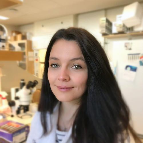 News: Interview Roundup: CRISPR Approaches To Curing Rare Diseases ...