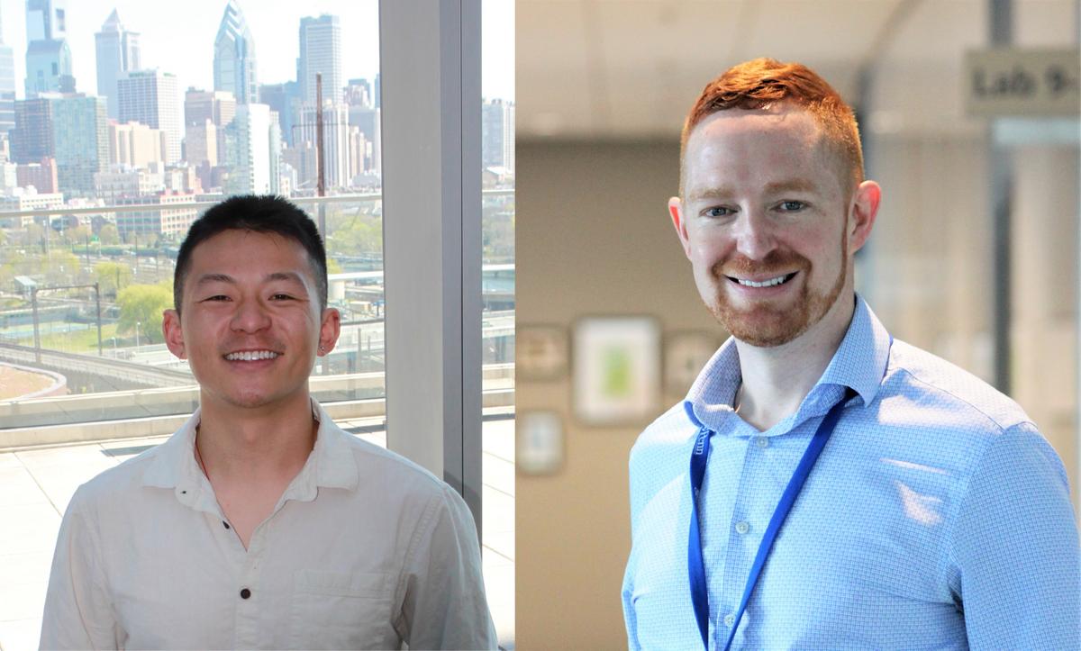 News: Double Knockout of Two Inflammatory Regulators Leads to Highly Effective T-Cell Therapy in ...