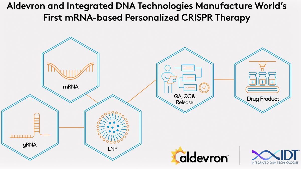 News: Breaking: First personalised mRNA CRISPR therapy delivered in six ...