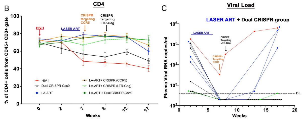 News: A Dual CRISPR Strategy Eliminates HIV in Humanised Mice - CRISPR ...