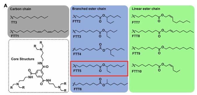 News: Tuneable, Biodegradable, Lipid-Like Nanoparticles for In Vivo ...