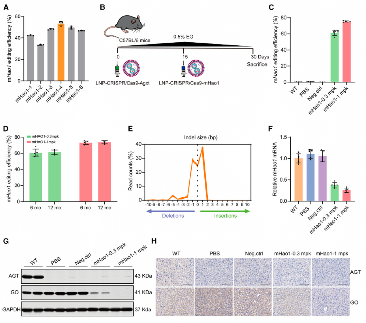 News: Single-Dose Therapeutic Genome Editing Using Lipid Nanoparticles ...
