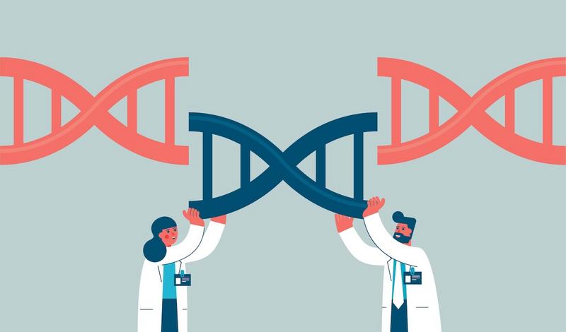 News: HDR-mediated gene editing preserves regulation - CRISPR Medicine