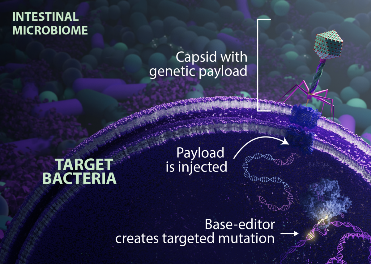 News: Breaking: Eligo Bioscience Reports First-Ever in Vivo Microbiome ...