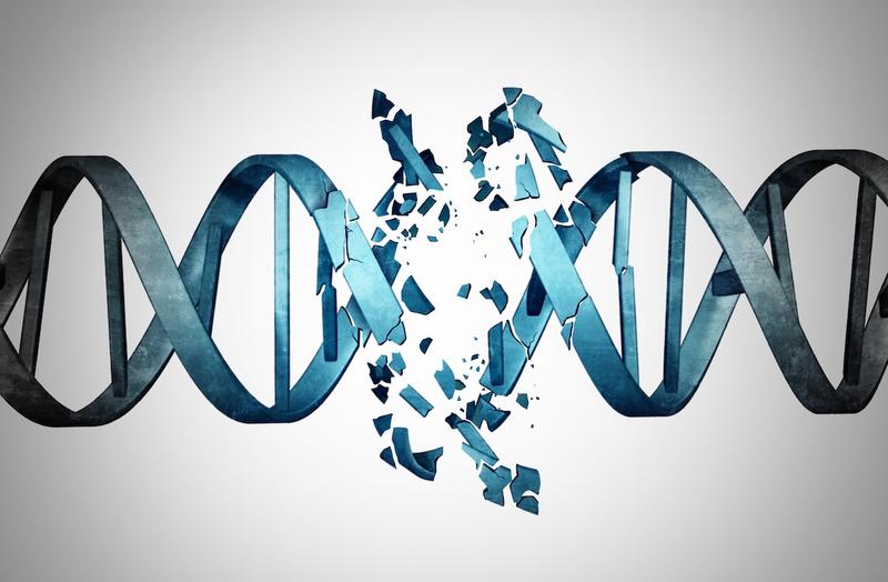 News: CMN Weekly (29 November 2024) - Your Weekly CRISPR Medicine News - CRISPR Medicine