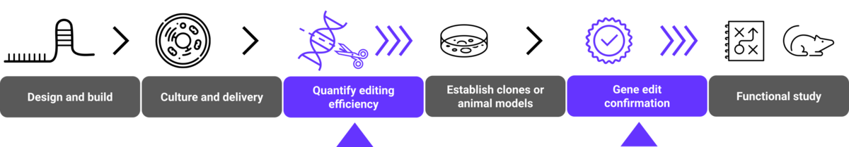 News: Out-of-the-Box Gene Editing Analysis with Countagen - CRISPR Medicine