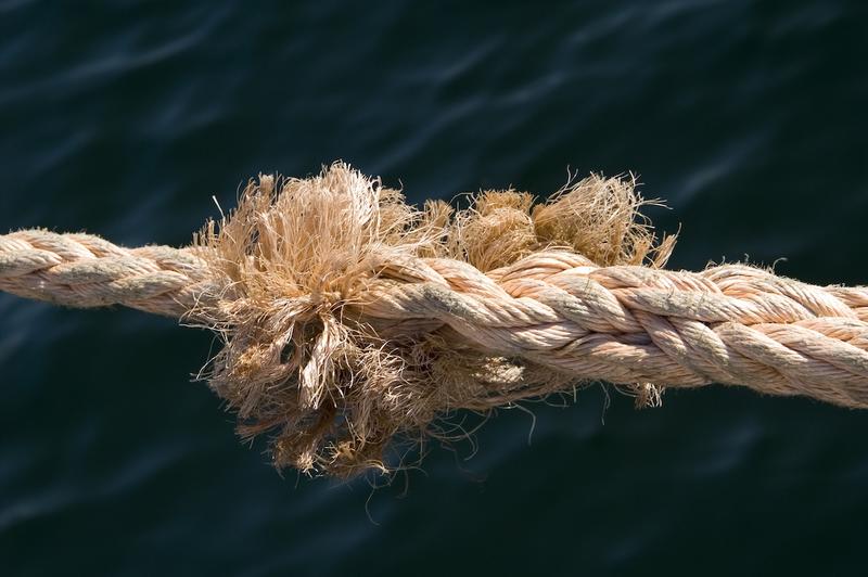 News: CRISPR screen links splicing control to therapy - CRISPR Medicine