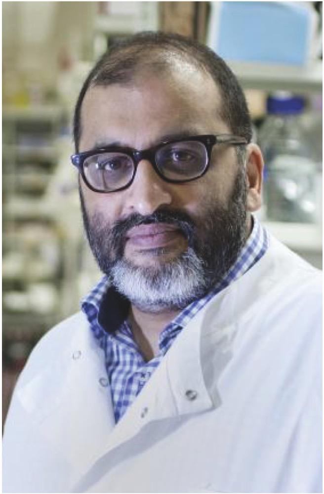 News: The Role of Gene Editing Within CAR T-Cell Therapy Development ...