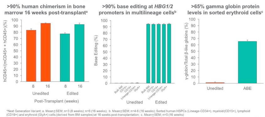 News: BEAM-101: IND Approval for First Ever Base-Edited Therapy ...
