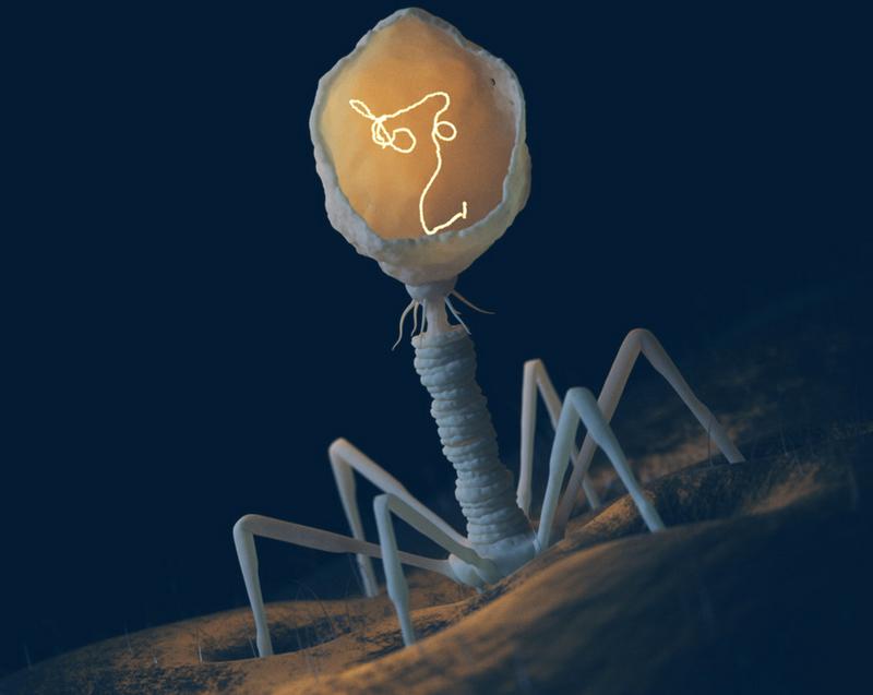 Interview: World's-first clinical trial for a CRISPR-Cas3 phage therapy ...